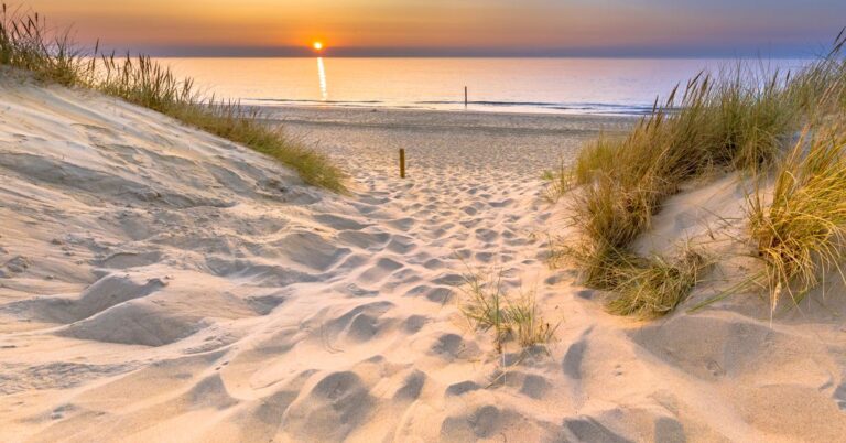 Embracing sustainability with Operation Clean Sweep | New Berlin Plastics